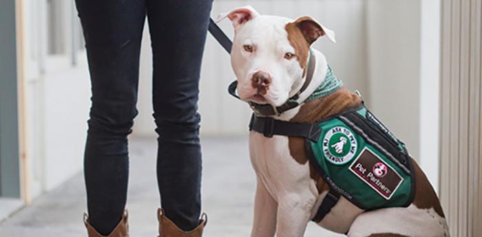 Resources for Pet Owners | Best Friends Animal Society - Save Them All